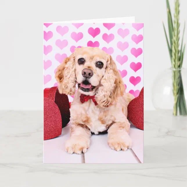 Valentines - Cocker Spaniel - Duke Holiday Card | Zazzle