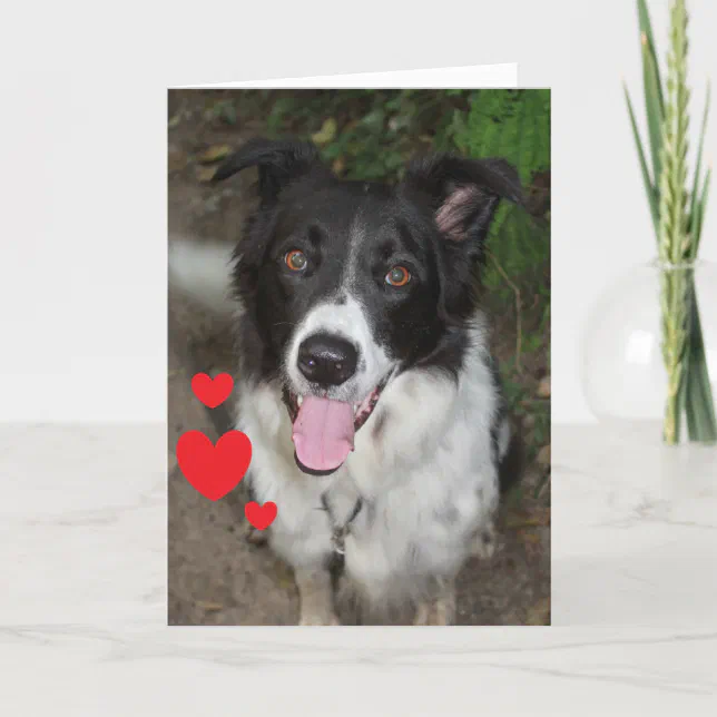 Valentine's Day Card from the Dog | Zazzle