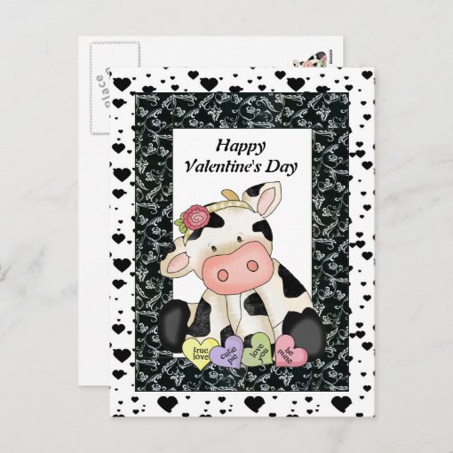 Valentine's Day Cow postcard | Zazzle