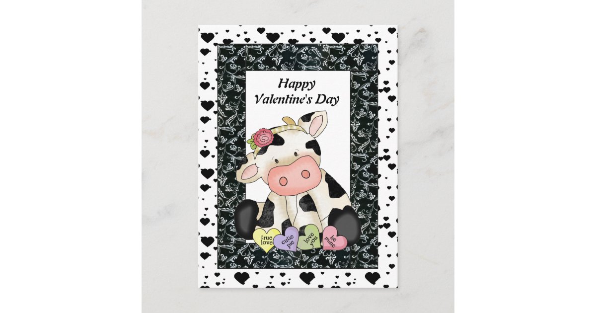 Valentine's Day Cow postcard | Zazzle