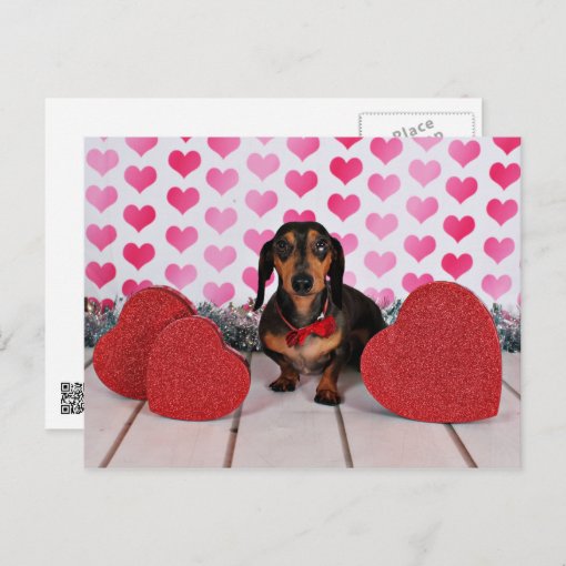 Valentine's Day - Dexter - Dachshund Holiday Postcard | Zazzle