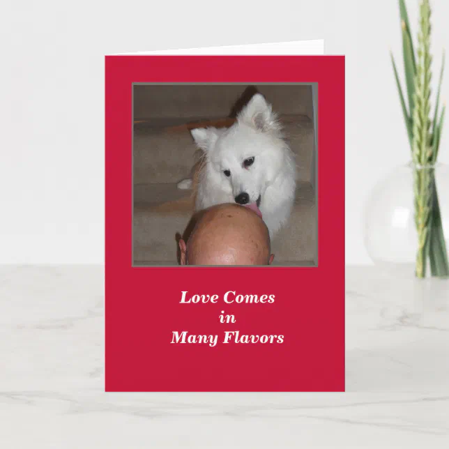 Valentine's Day Dog and Bald Man Greeting Card | Zazzle