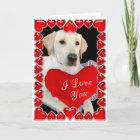 Yellow Labrador Retriever Valentine's Day Card | Zazzle.com
