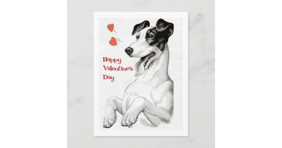 Valentines Day Dog Holiday Postcard | Zazzle