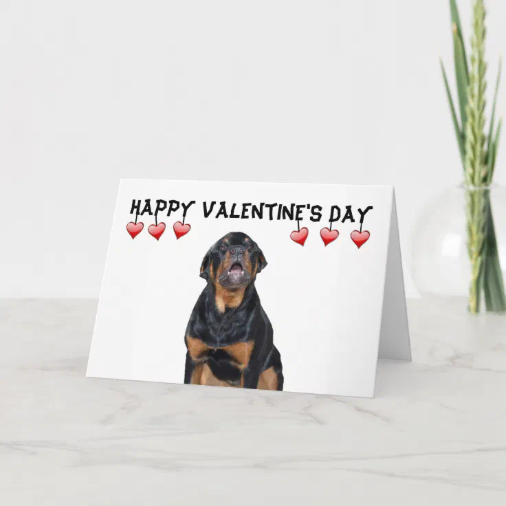 Valentine's Day Grumpy Rottweiler Card | Zazzle