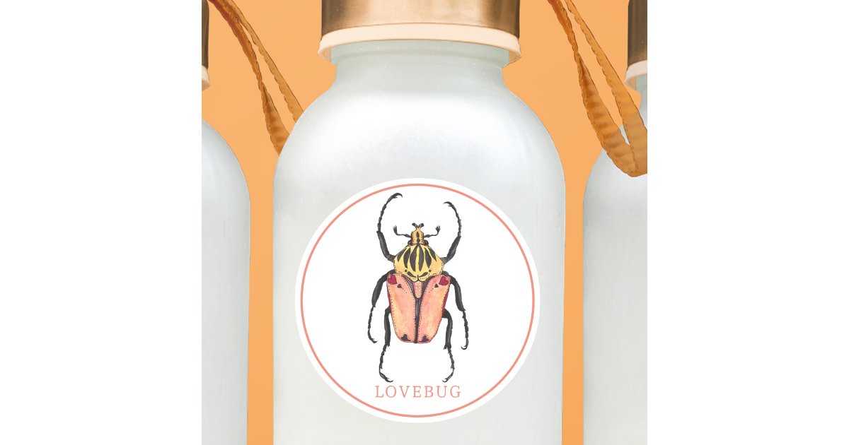 Valentine's Day Love Bug Sticker | Zazzle