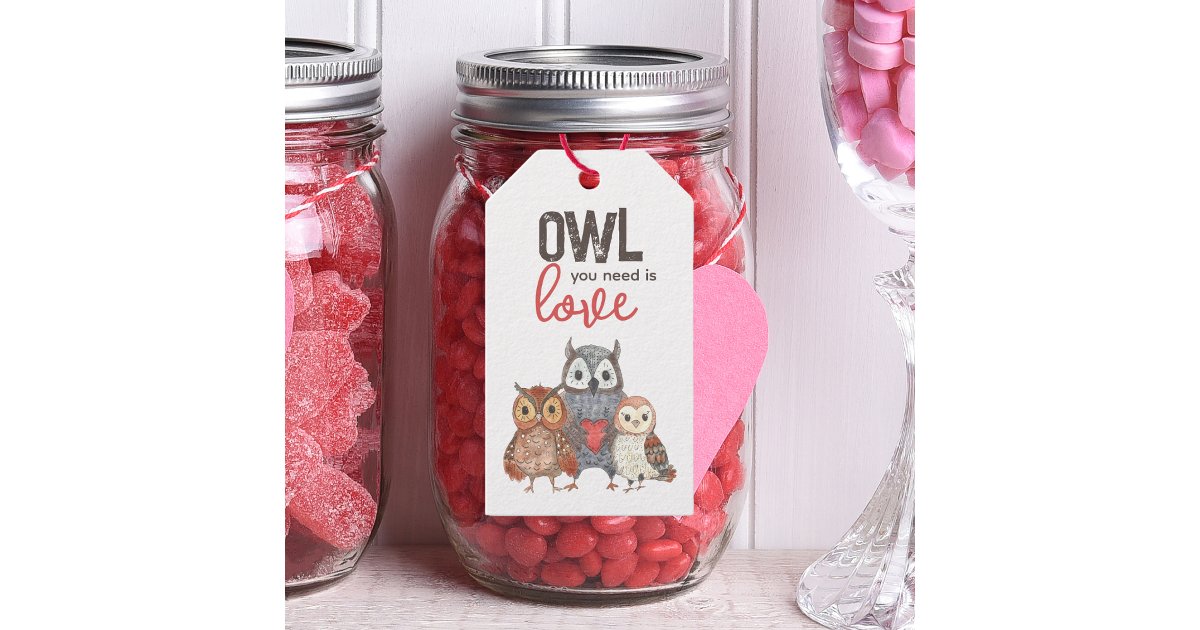 Valentine's Day Owls Cute Gift Tags | Zazzle