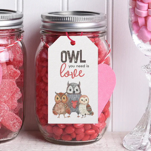 Valentine's Day Owls Cute Gift Tags | Zazzle