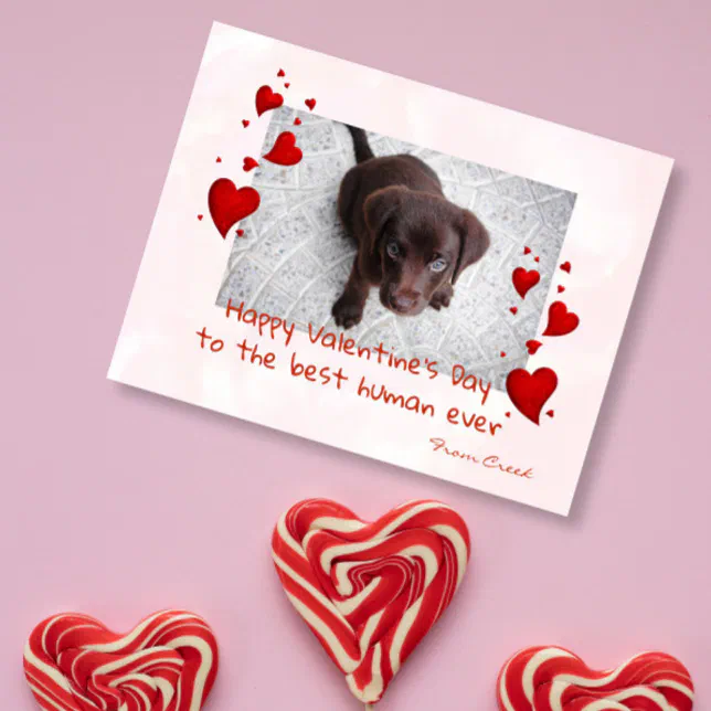 Valentine's Day Photo Template Pet Dog Cat Postcard | Zazzle