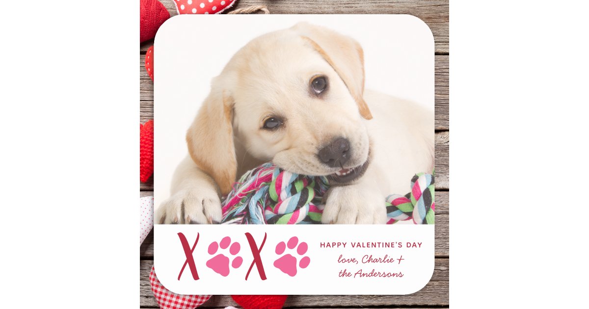 Valentines Day XOXO Cute Pet Puppy Dog Photo Square Sticker | Zazzle