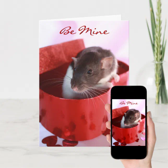 Valentine's Rat Card | Zazzle