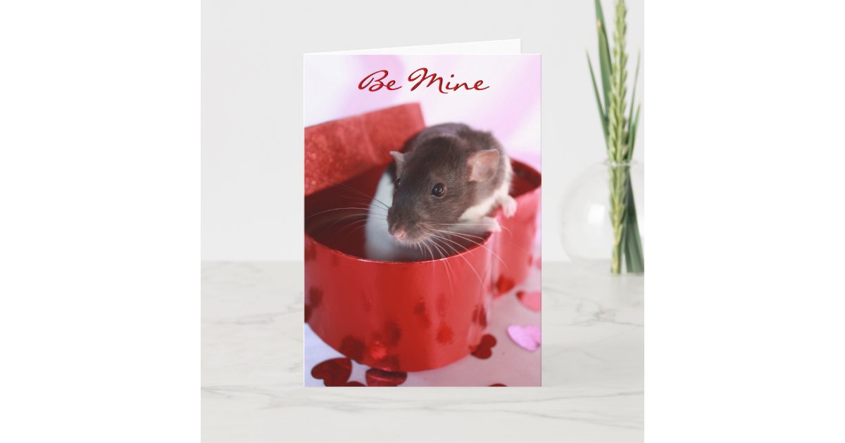 Valentine's Rat Card | Zazzle