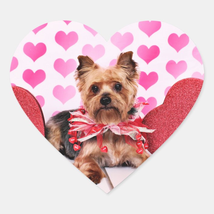 Valentines - Yorkie - Pixie Heart Sticker | Zazzle.com