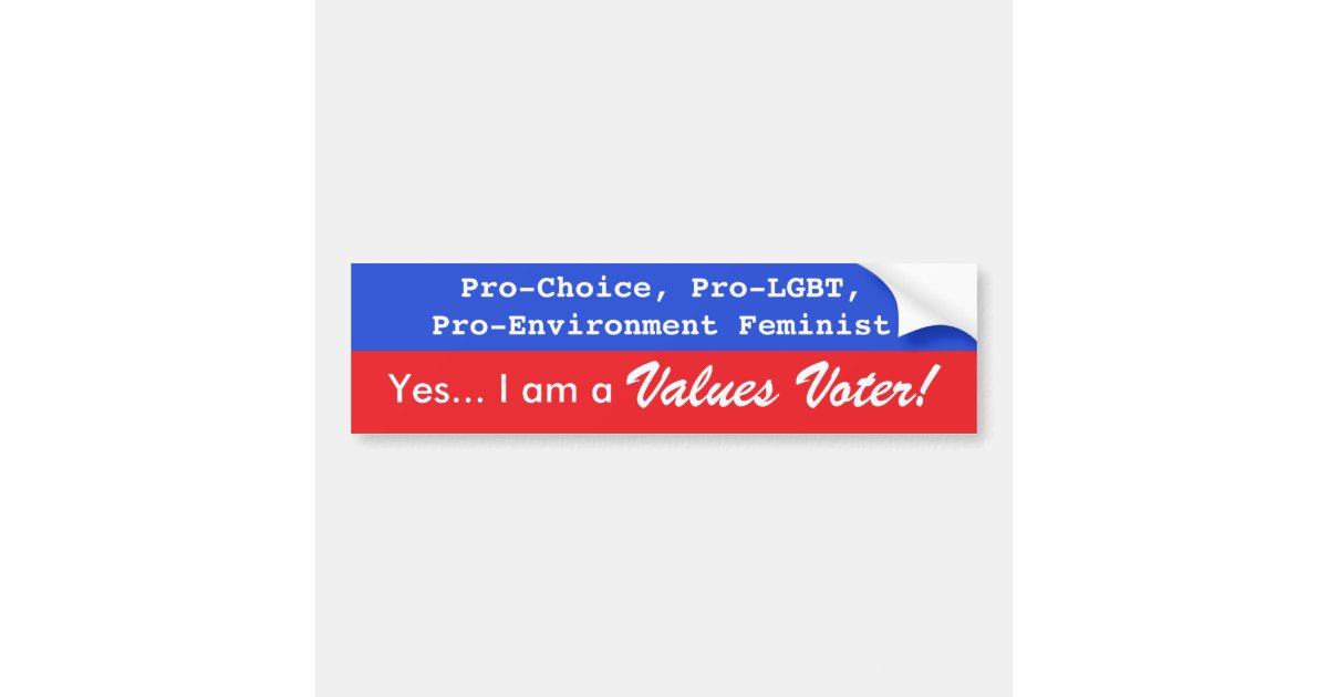 Values Voter Bumper Sticker | Zazzle