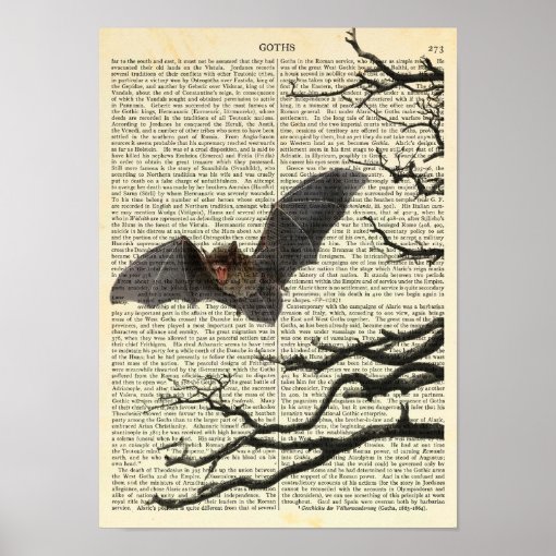 Vampire Bat, Gothic, Dracula, Bat, Nature Poster | Zazzle