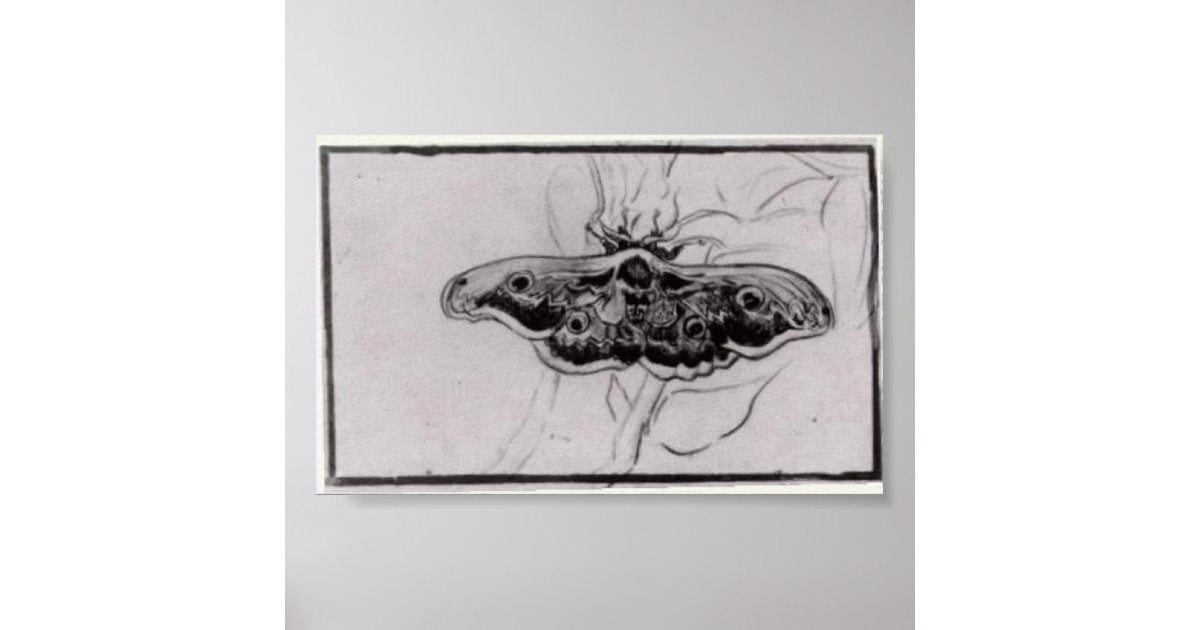 Van Gogh - Death's Head Moth Poster | Zazzle