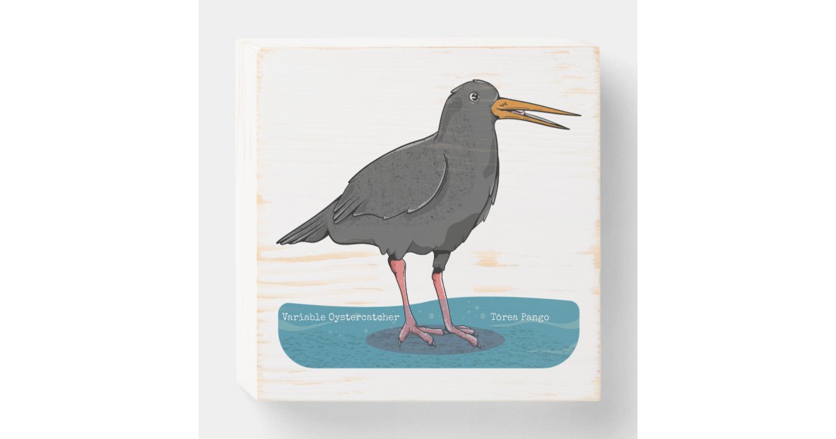 Variable oystercatcher Tōrea pango Wooden Box Sign | Zazzle