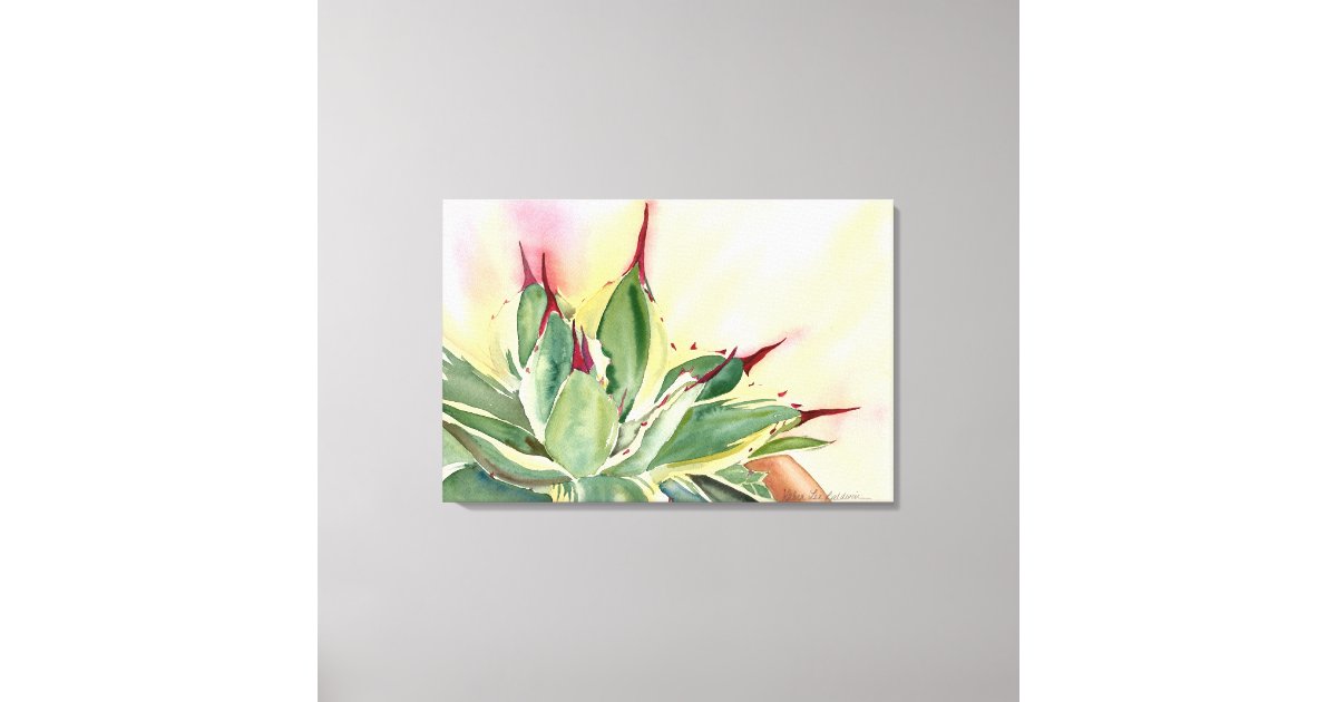 Variegated dwarf agave canvas print | Zazzle