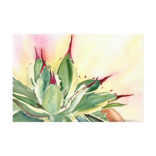 Variegated dwarf agave canvas print | Zazzle.com