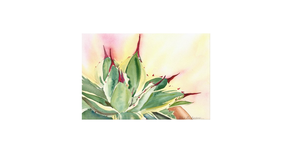 Variegated dwarf agave canvas print | Zazzle