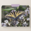 Varieties of Butterflies File Folders Set | Zazzle