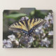 Varieties of Butterflies File Folders Set | Zazzle