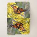 Varieties of Butterflies File Folders Set | Zazzle