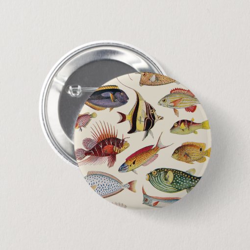 Varieties of Fish Pinback Button | Zazzle