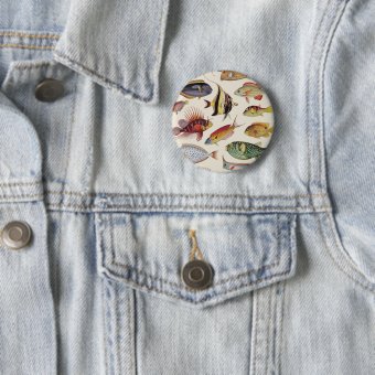 Varieties of Fish Pinback Button | Zazzle