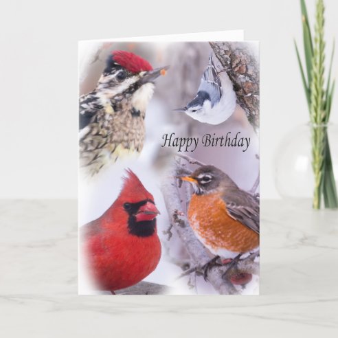 Cardinal Cards | Zazzle