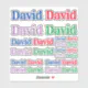 Variety of Sizes of the Name David Sticker | Zazzle