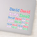 Variety of Sizes of the Name David Sticker | Zazzle