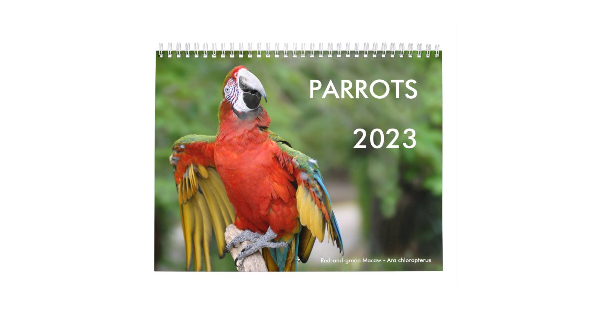 Various parrots calendar | Zazzle