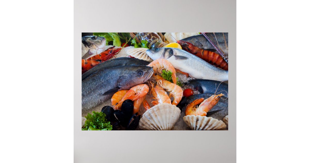 Various Seafood Poster | Zazzle