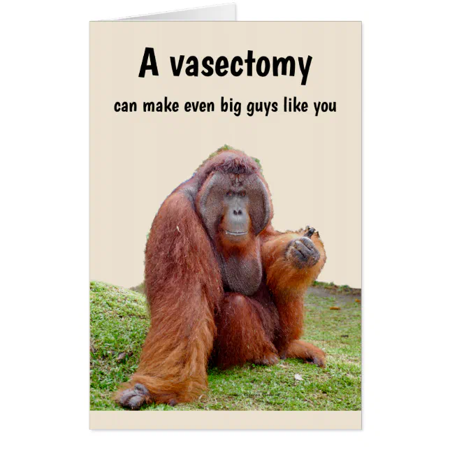 Vasectomy Humor Big Guy Card | Zazzle