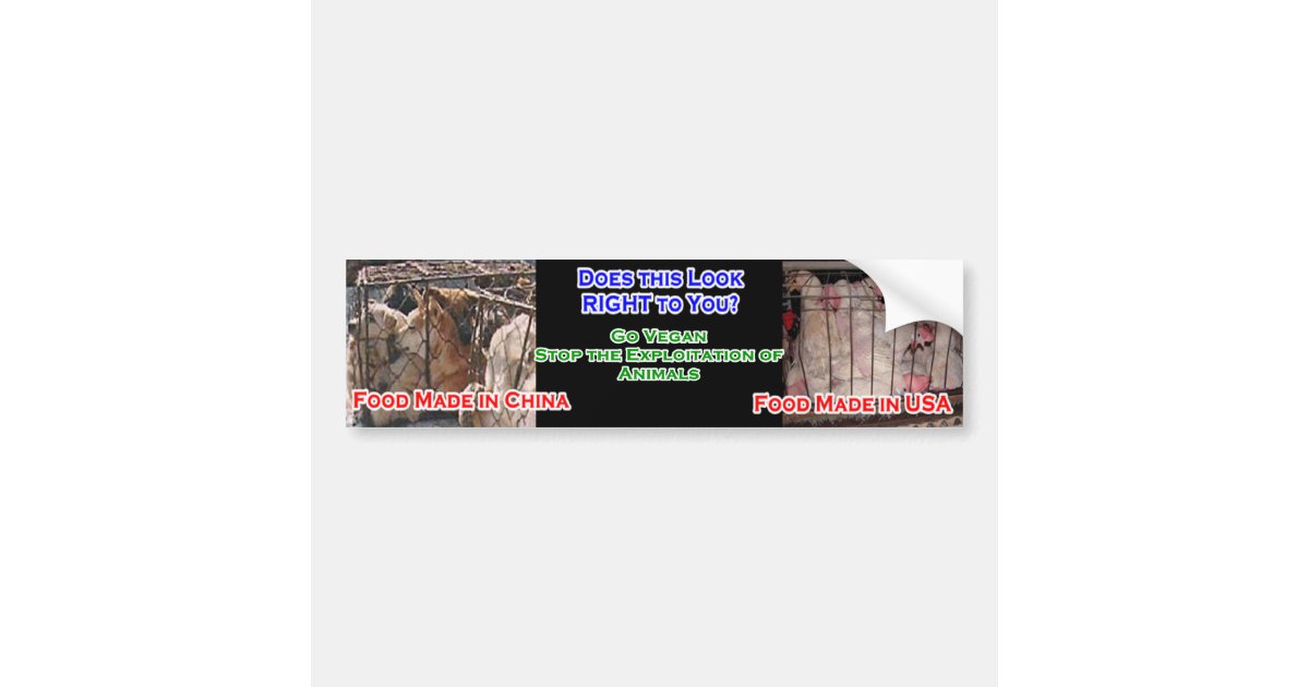 vegan bumper sticker factory farming | Zazzle