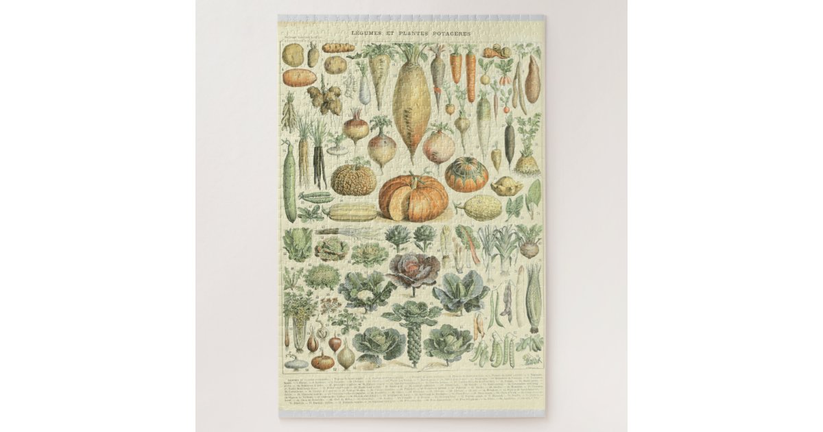 Vegetable Identification Chart Jigsaw Puzzle | Zazzle
