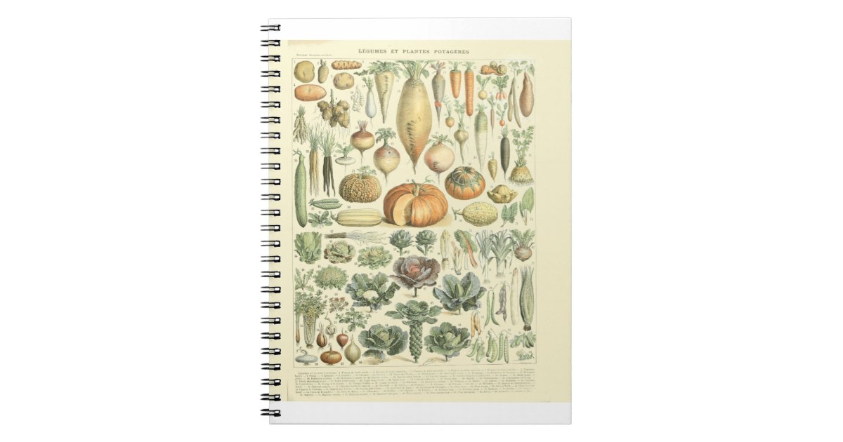 Vegetable Identification Chart Notebook | Zazzle