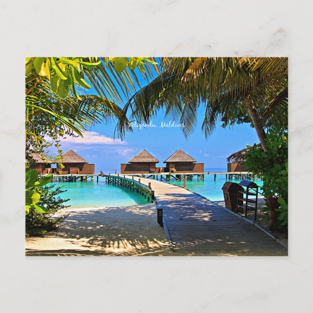 Veligandu, Maldives Postcard | Zazzle