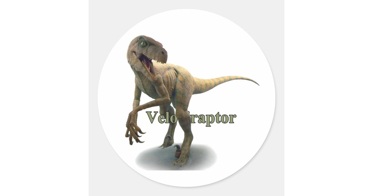 Velociraptor Classic Round Sticker | Zazzle