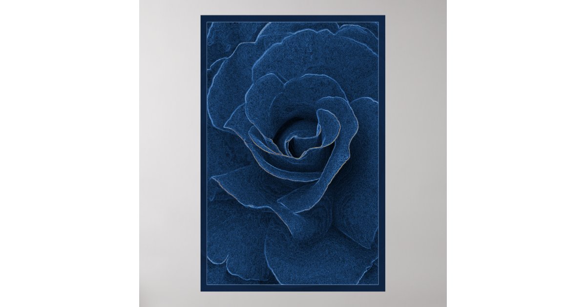 Velvet blue rose poster | Zazzle