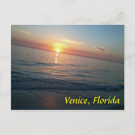 Venice, Florida beach at sunset Postcard | Zazzle.com