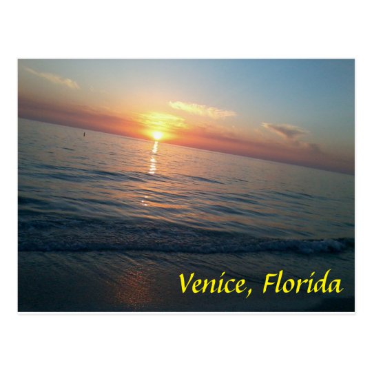Venice, Florida beach at sunset Postcard | Zazzle.com