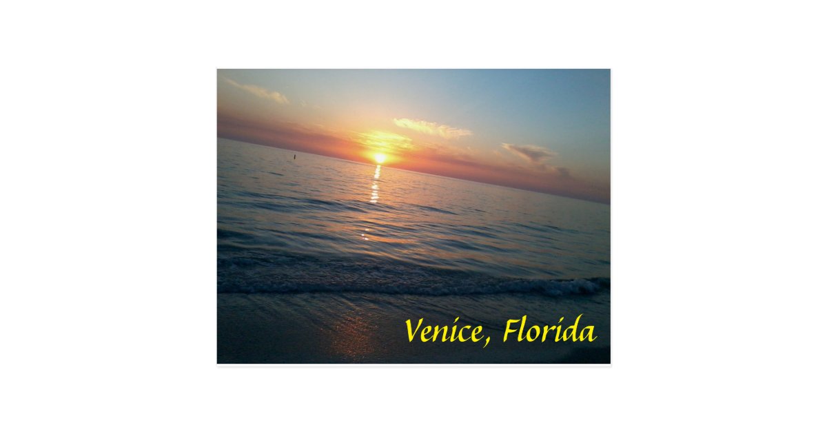 Venice, Florida beach at sunset Postcard | Zazzle.com