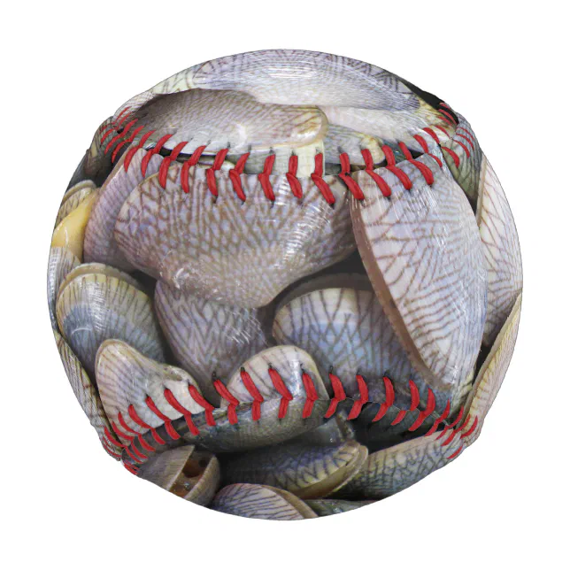 Venus Clam [หอยลาย] Baseball | Zazzle