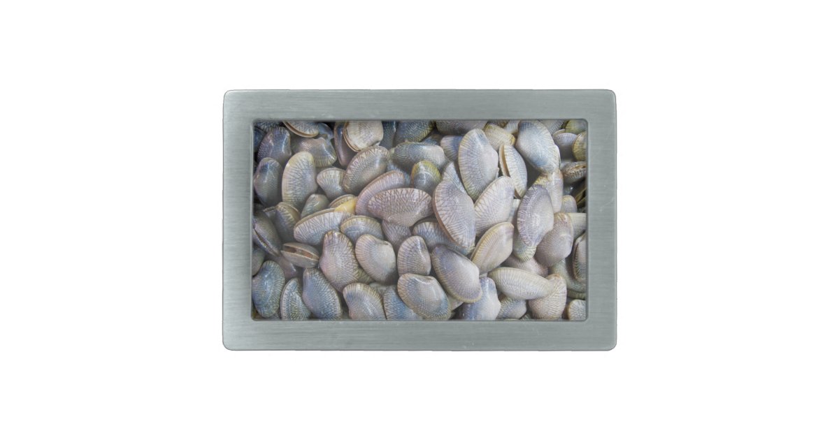 Venus Clam [หอยลาย] Belt Buckle | Zazzle