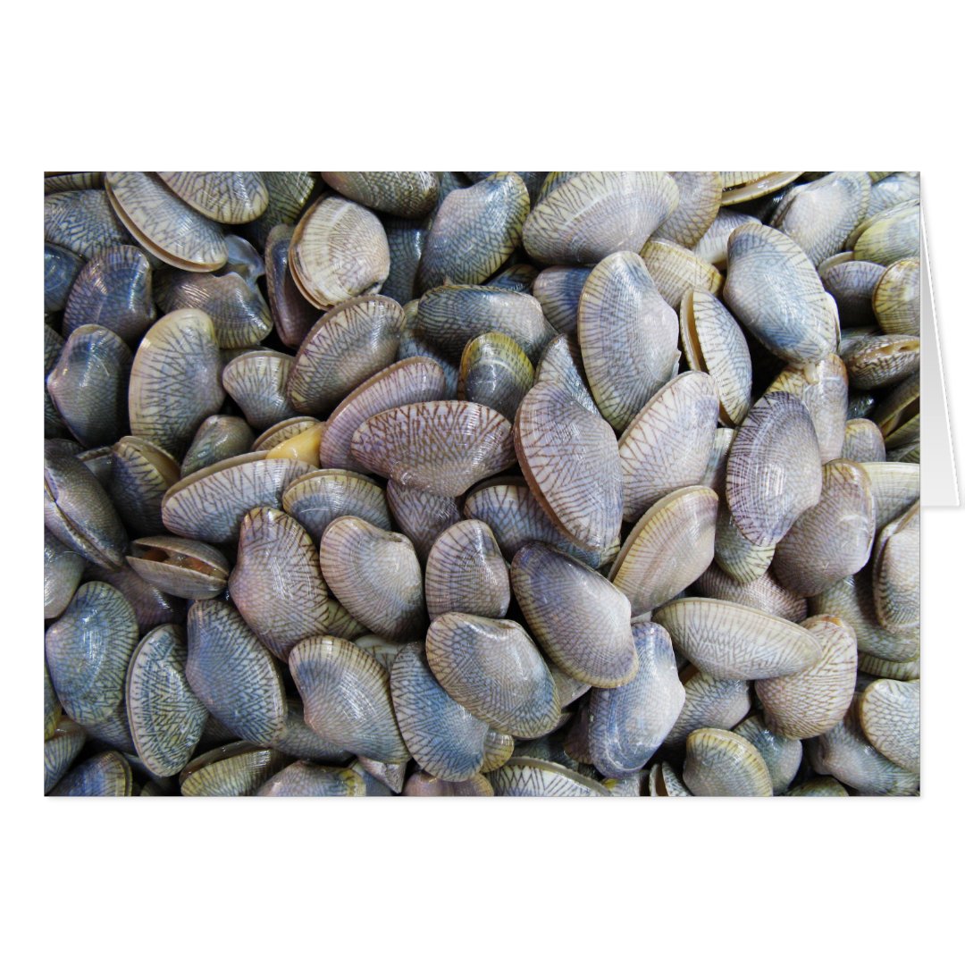 Venus Clam [หอยลาย] Card | Zazzle