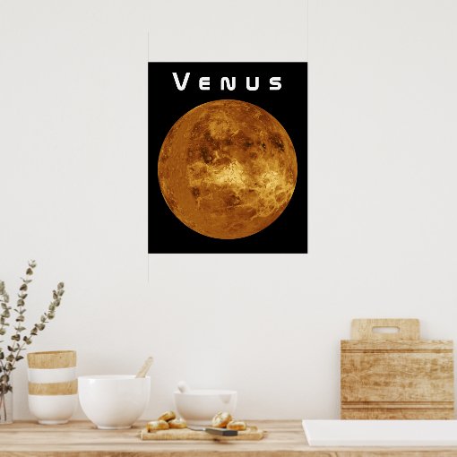 Venus Poster | Zazzle