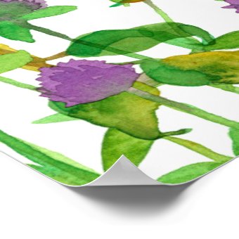 Vermont State Bird Hermit Thrush Clover Poster | Zazzle