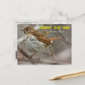 Vermont State Bird: Hermit Thrush Postcard | Zazzle